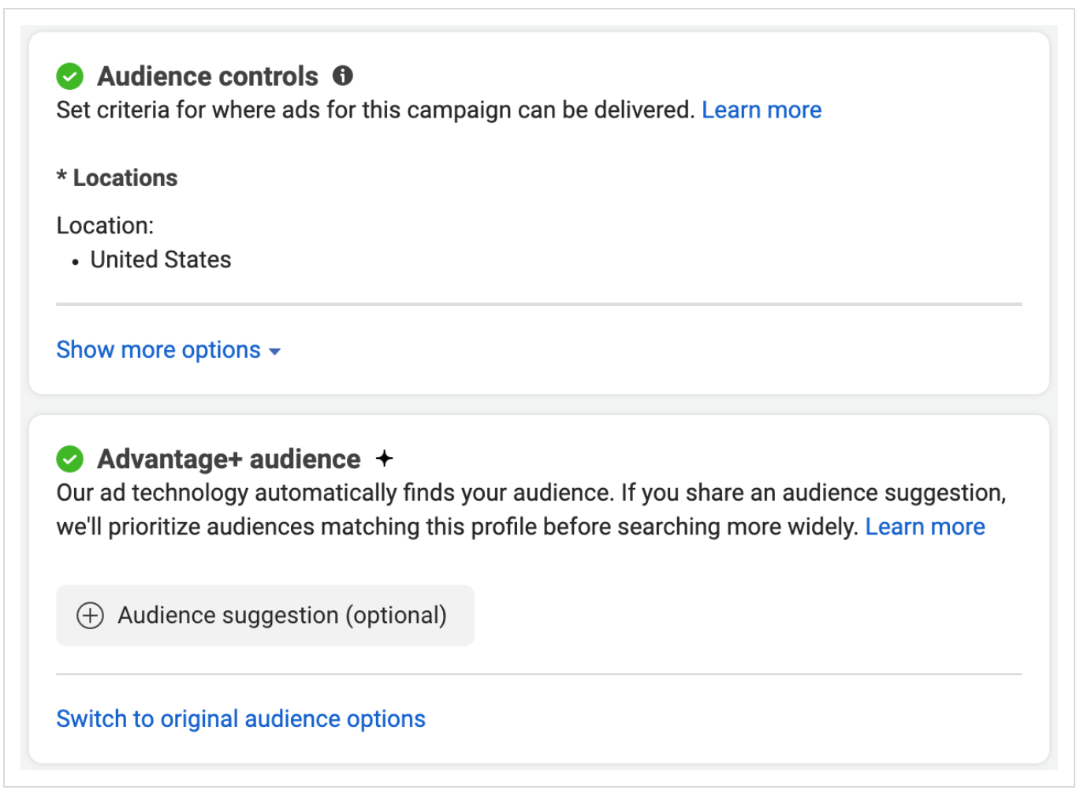 The Advantages and Disadvantages of Meta’s Advantage+ Tools